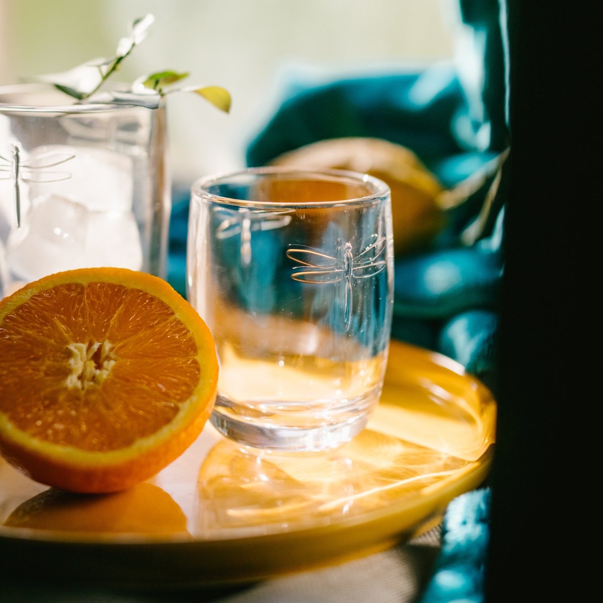 Dragonfly Tumbler Set-6 – La Rochere